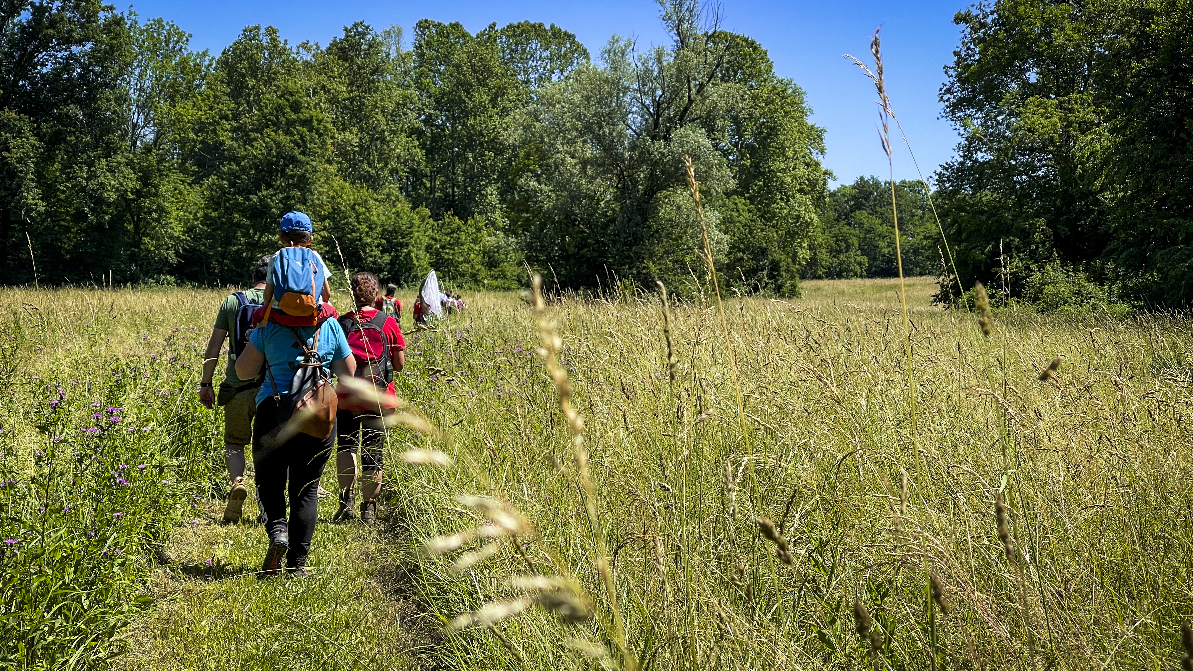 Gli italiani vogliono la tutela della natura. Leggi il sondaggio SWG-Lipu per i 60 anni dell ...